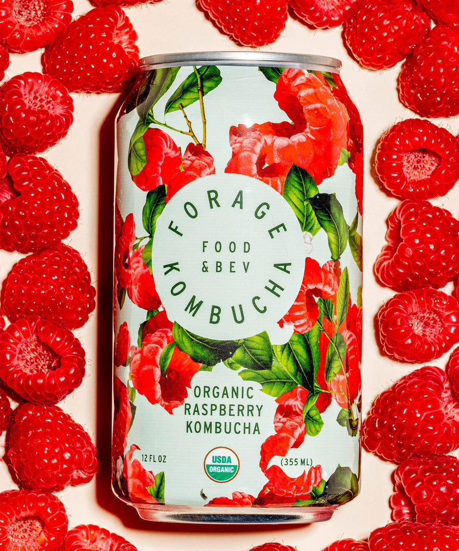 Buy Raspberry Kombucha – foragekombucha